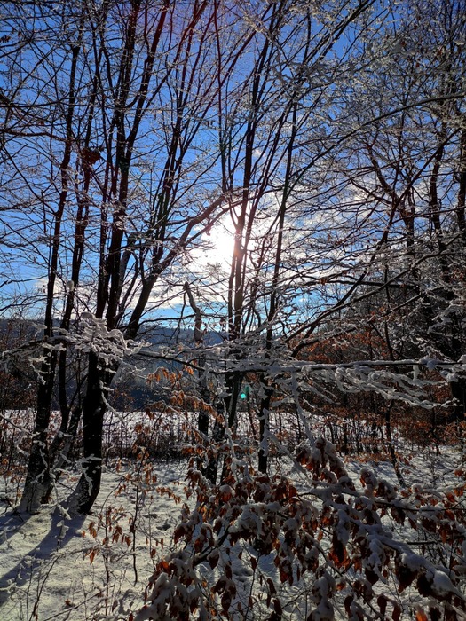 Kolo roku: Yule :: Aktivní prožívání